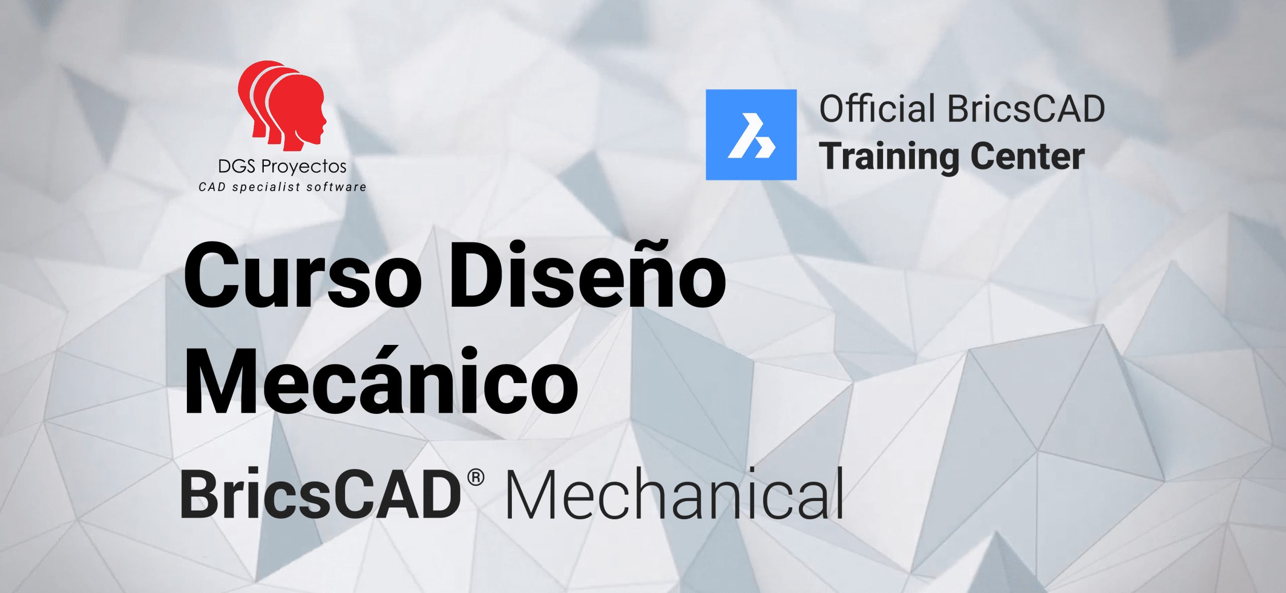 Cursos online BricsCAD - DGS Proyectos